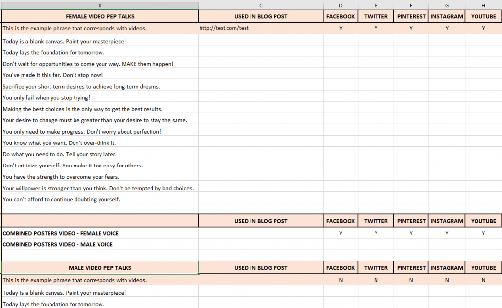 POSITIVE ENERGY PROCLAMATIONS AUDIO & VIDEO PACKAGE - Pep Talk PLR